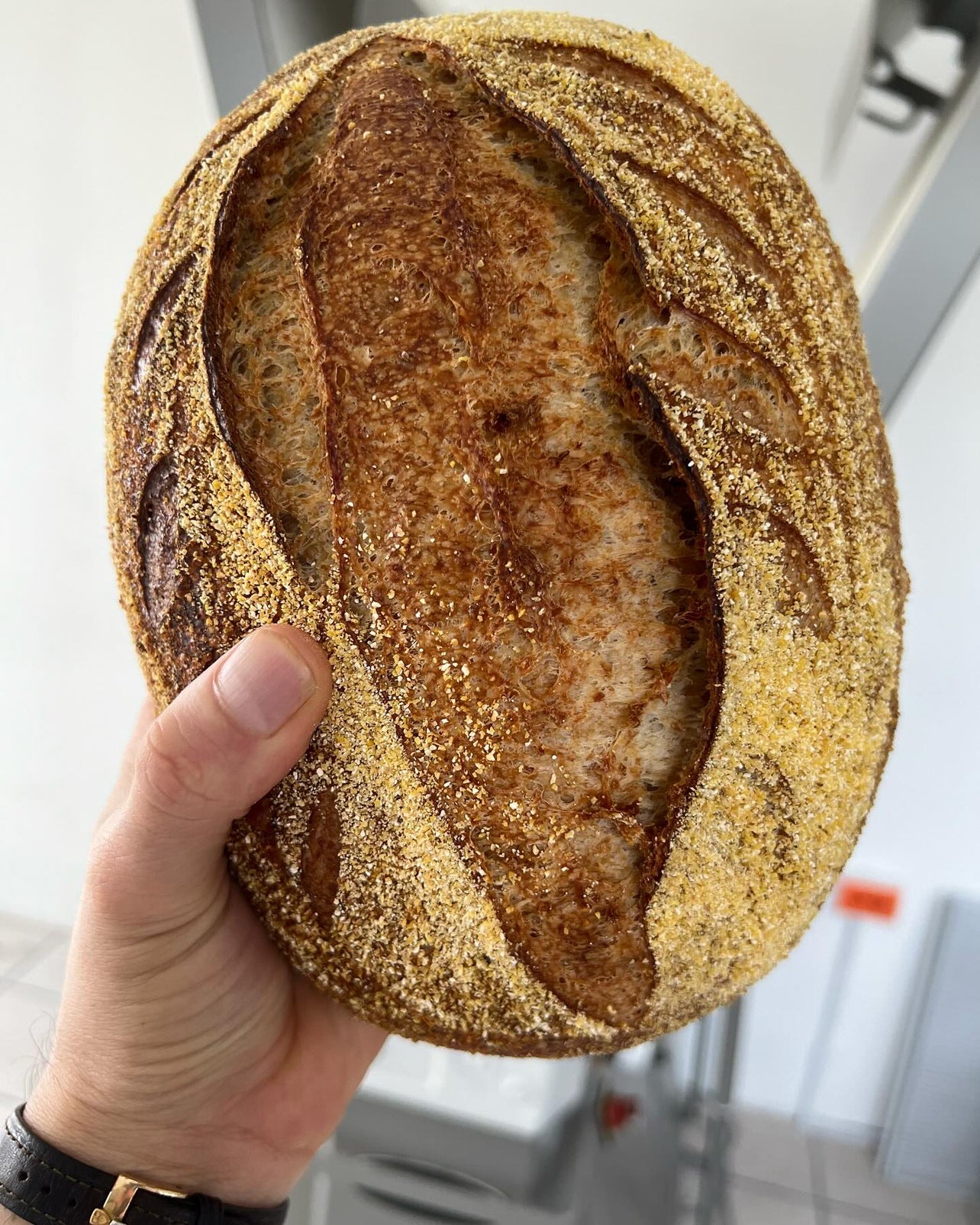 DrPan | Pan Artesanal de Masa Madre en Guatemala